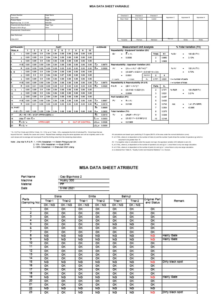 Msa Data Sheet Variable | PDF