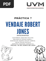 Vendaje de Robert Jones en Veterinaria | PDF | Especialidades Medicas ...