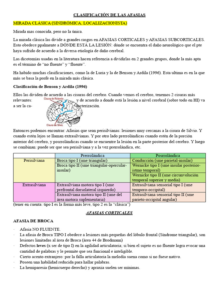 CLASIFICACIÓN DE LAS AFASIAS | Descargar gratis PDF | Afasia | Neurociencia