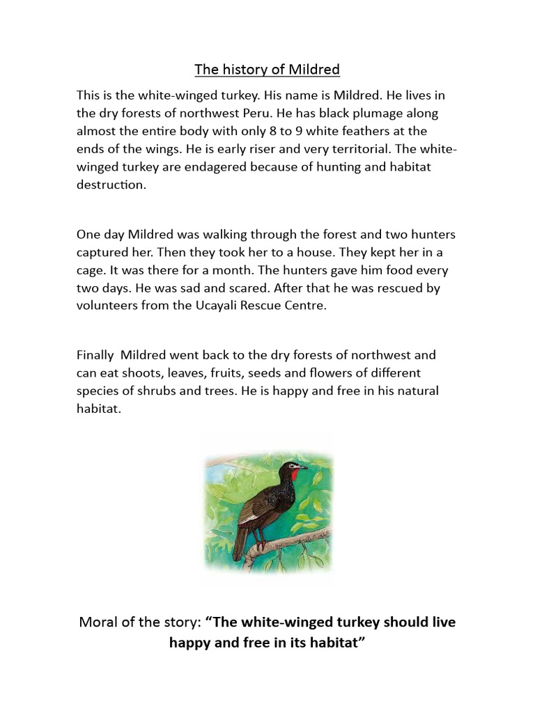 The history of Mildred | PDF