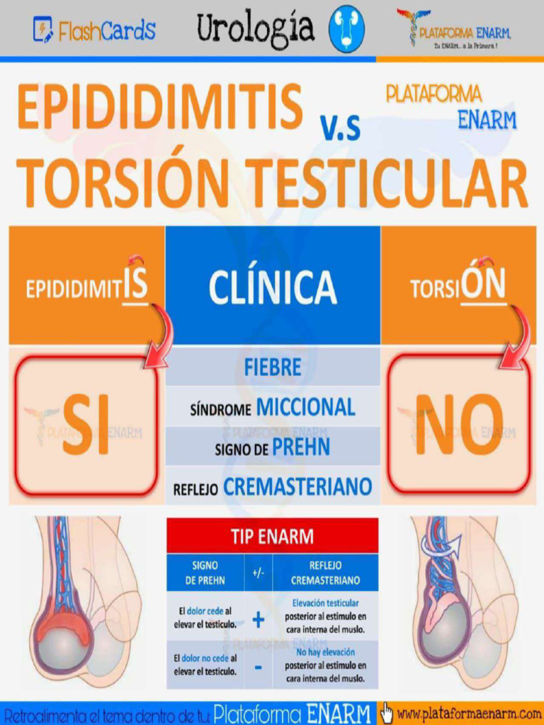 Flashcard ENARM | PDF