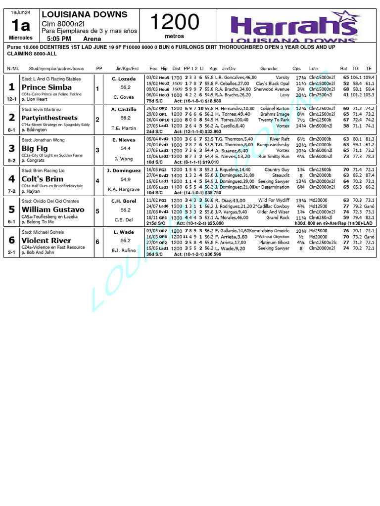 LAD20240619 | Download Free PDF | Horse Racing | Horses