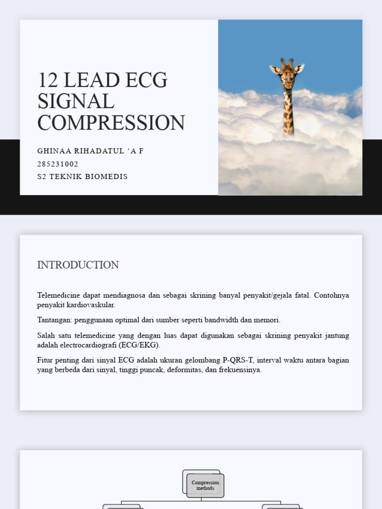 12 Lead Ecg Signal Compression | PDF