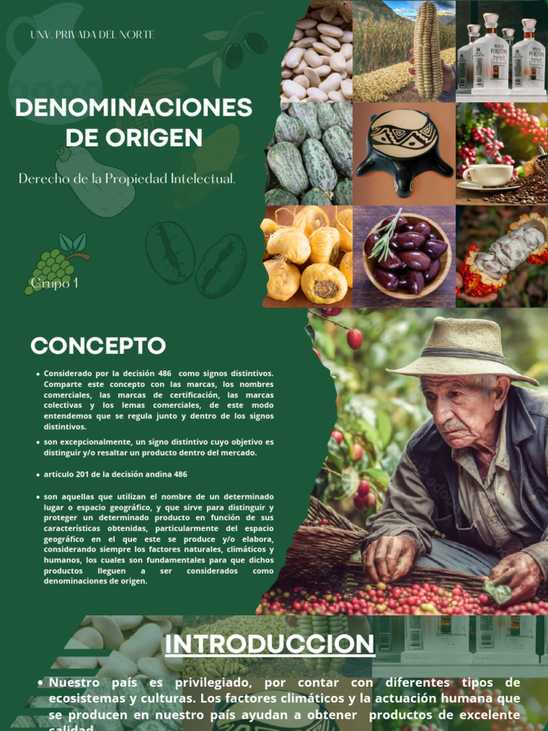 Denominaciones de Origen en Perú | PDF