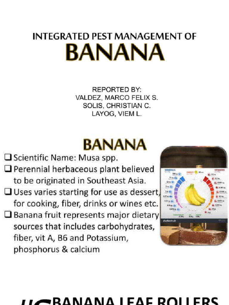 IPM-FOR-BANANA | PDF