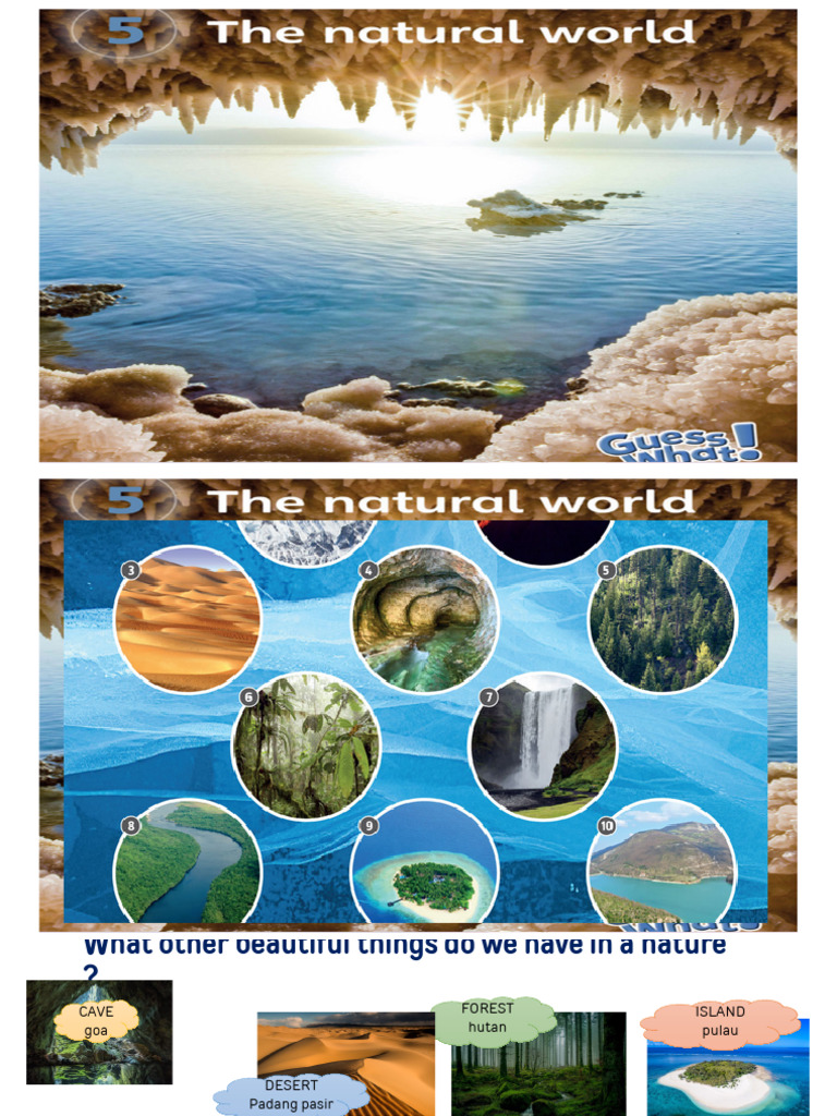UNIT 5 The Natural Word (1) .PPTX - 20240219 - 151525 - 0000 | PDF ...