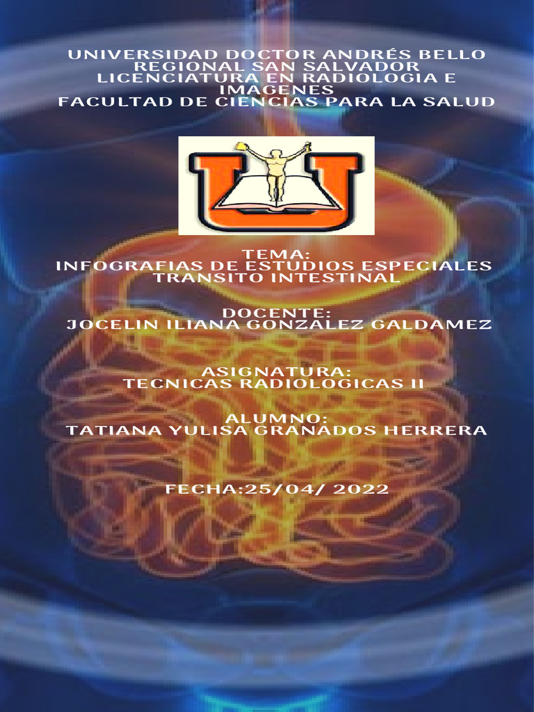 Infografía sobre Tránsito Intestinal | PDF