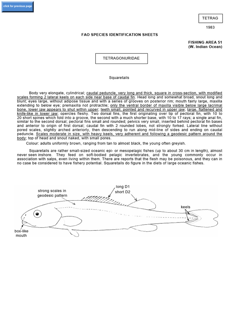 Fao Species Identification Sheets Fishing Area 51 (W. Indian Ocean ...