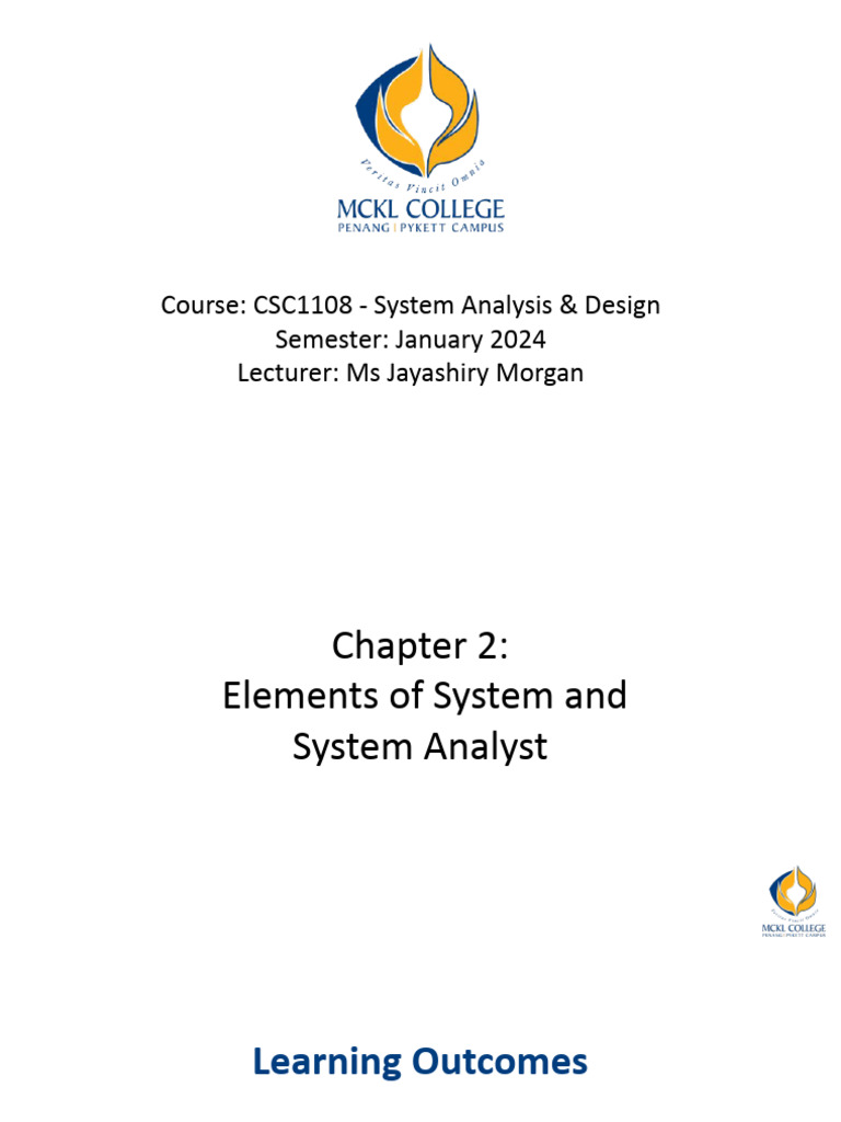 Chapter 2 Elements of System and System Analyst | PDF | System | Computer Programming
