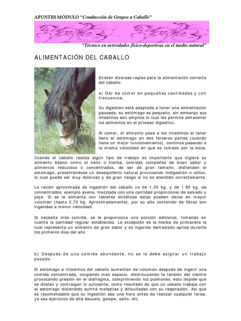 03 - Alimentacion Del Caballo | PDF | Carbohidratos | Heno