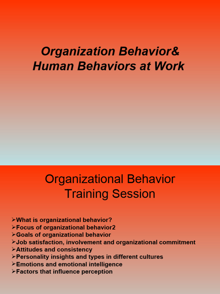 Organizational Behavior & Human Behavior at Work | PDF | Job ...