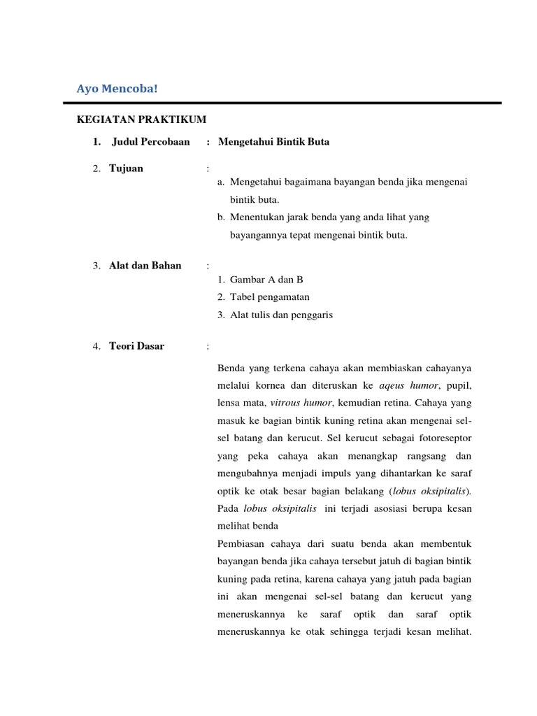 Percobaan 13. Mengetahui Bintik Buta | PDF