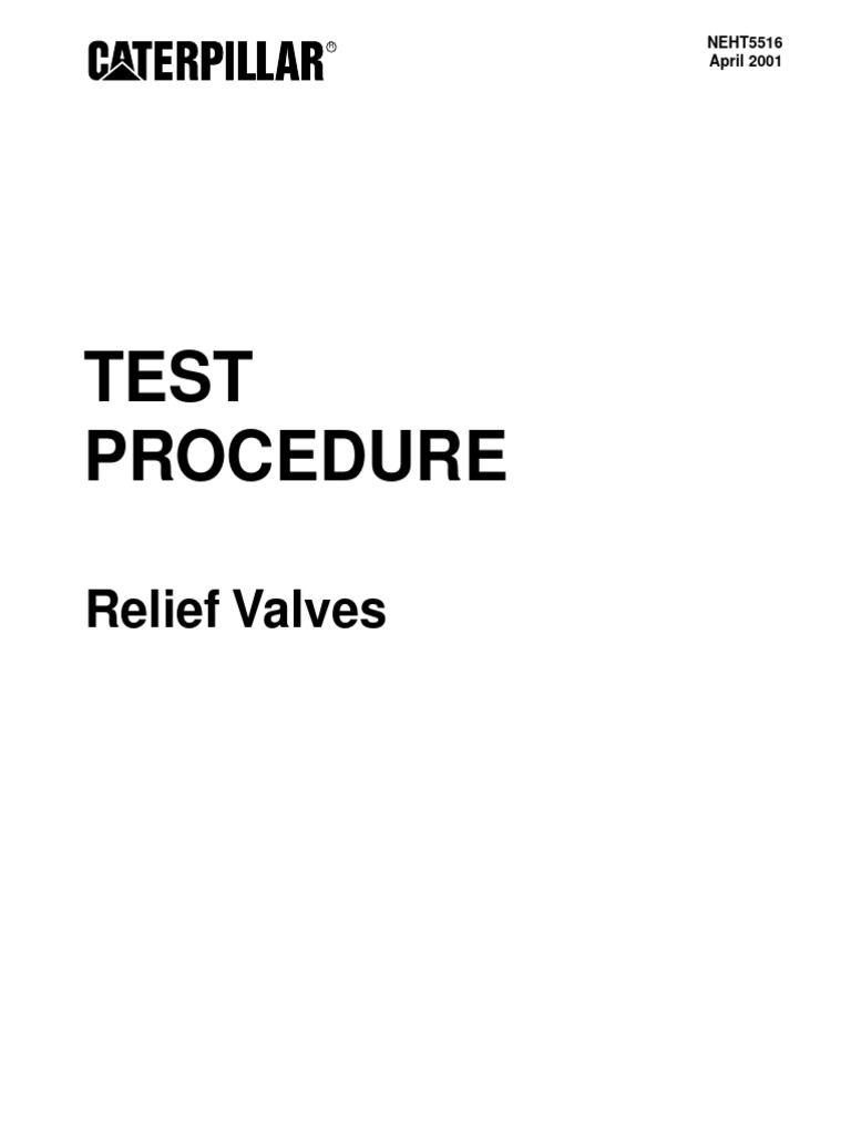 Test Relief Valve | PDF | Leak | Valve