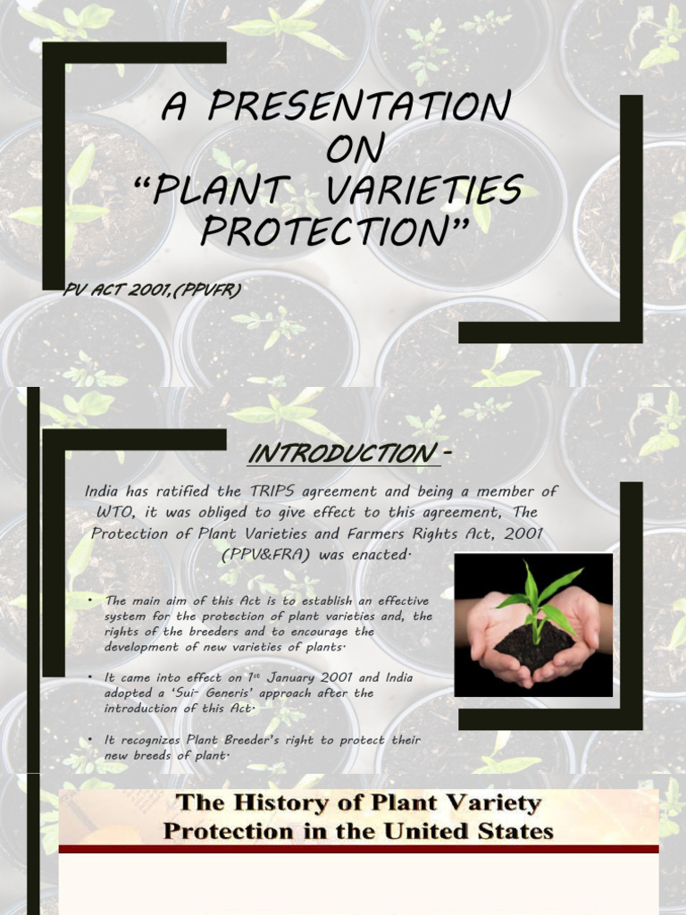 PV Act 2001 | PDF | Agriculture