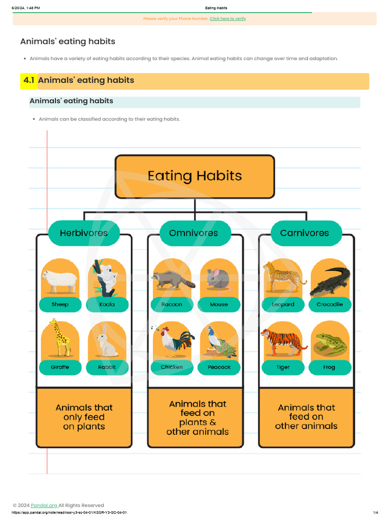 (NOTES) Unit 4 Animal Eating Habits - SCIENCE STD 3 KSSR | PDF ...
