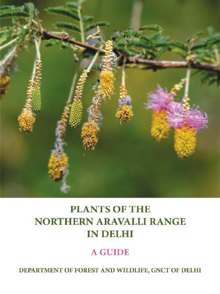 Plants of The Northern Aravalli Range in Delhi | PDF | Earth Sciences