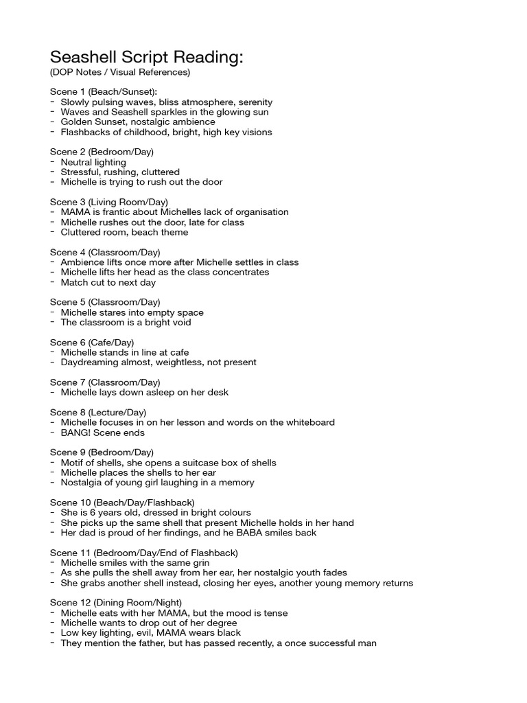 Seashell Scene Notes | PDF | Cinematography