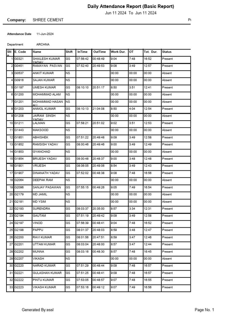 Daily Attendance Report | PDF