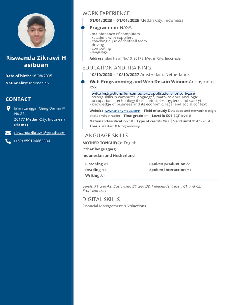 CV Riswanda Zikrawi | PDF | Computer Programming | Computing