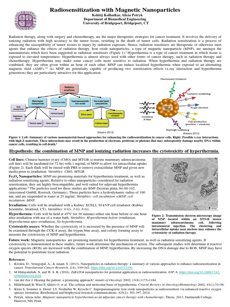 Radiosensitization With Magnetic Nanoparticles-Xcell50 | PDF ...