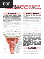 Anatomia e Fisiologia da Laringe | PDF | Laringe | Sistema respiratório