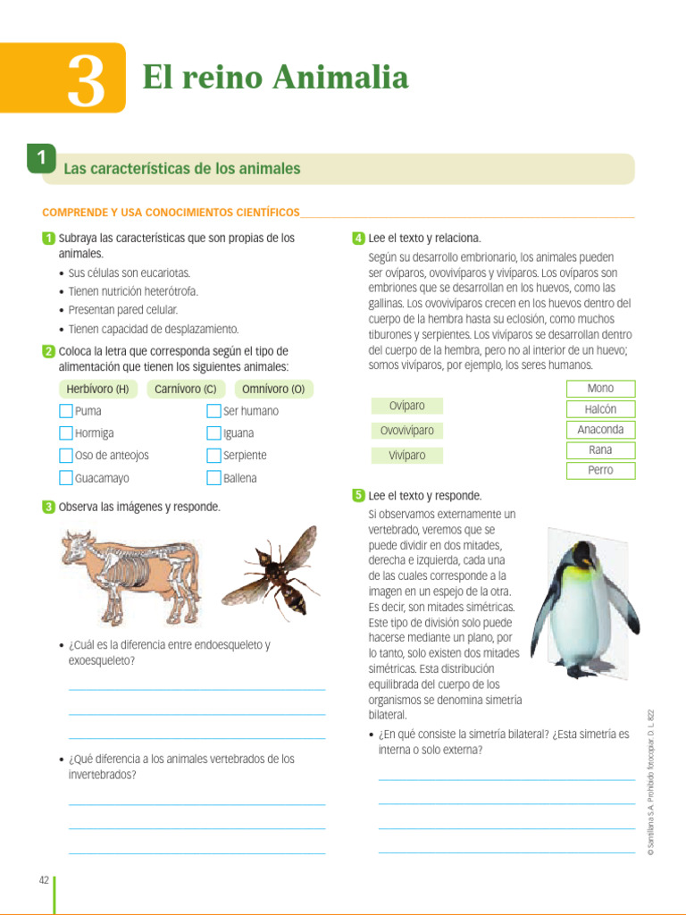Actividad 01 - Las Características de Los Animales | PDF | Esponja | Huevo