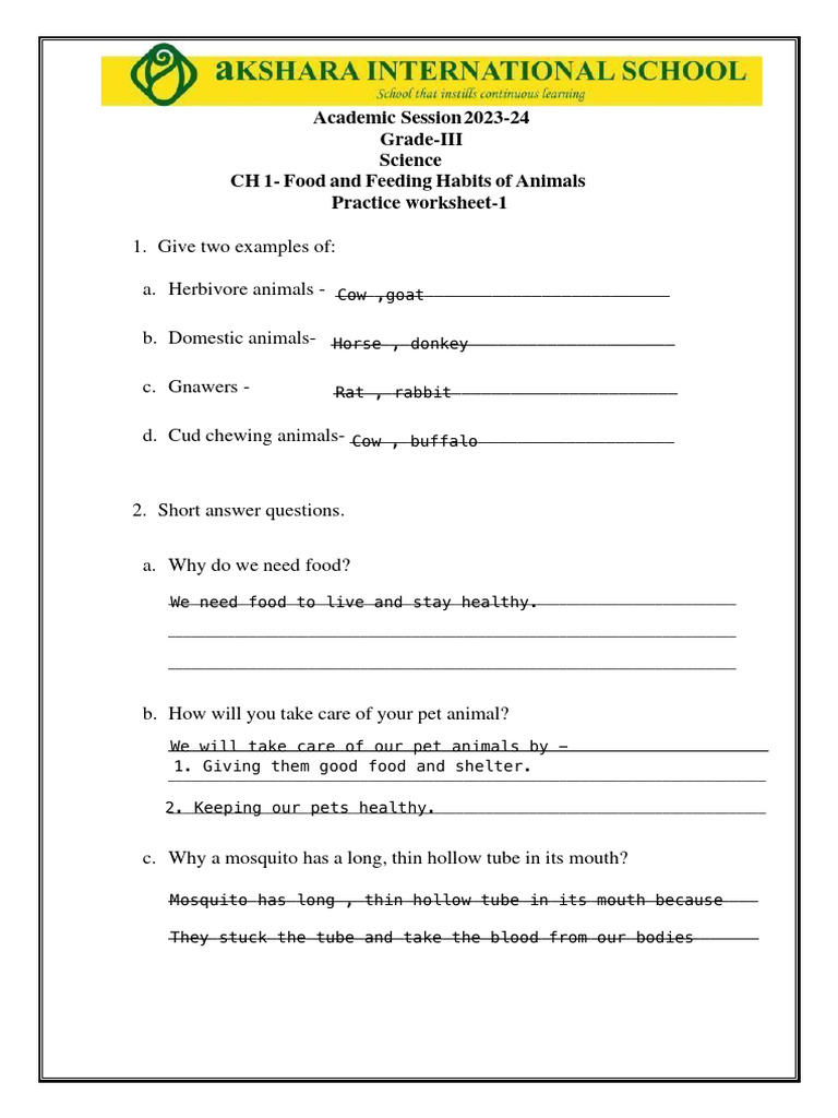 Grade III-Science-Ch.1 Practice Worksheet-1 | PDF