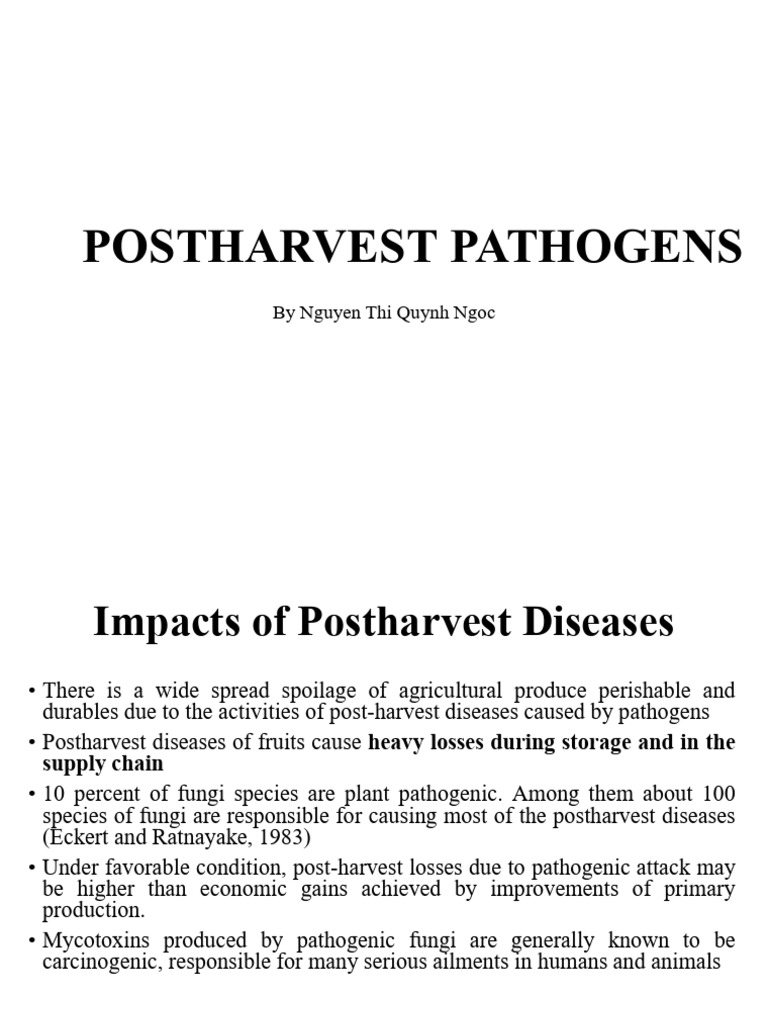 Postharvest Pathogens | PDF | Yeast | Mycotoxin