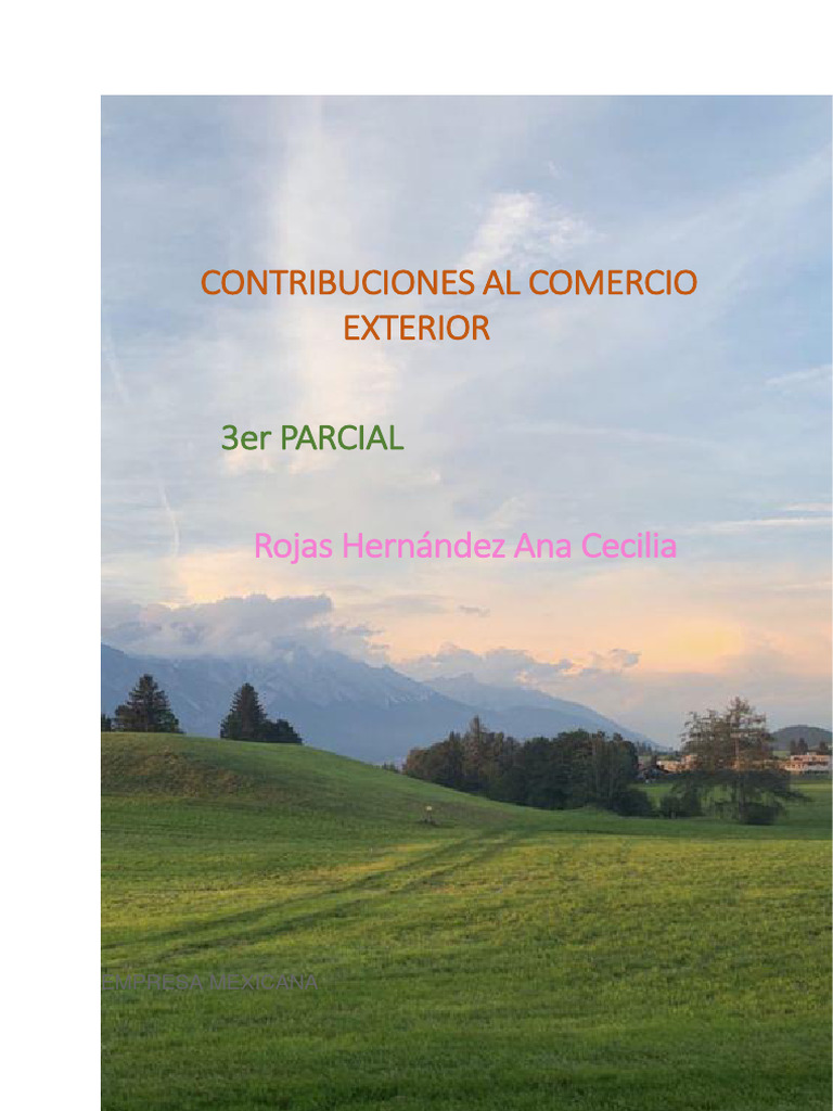 CONTRIBUCIONES AL COMERCIO EXTERIOR | PDF | aduana | El comercio internacional