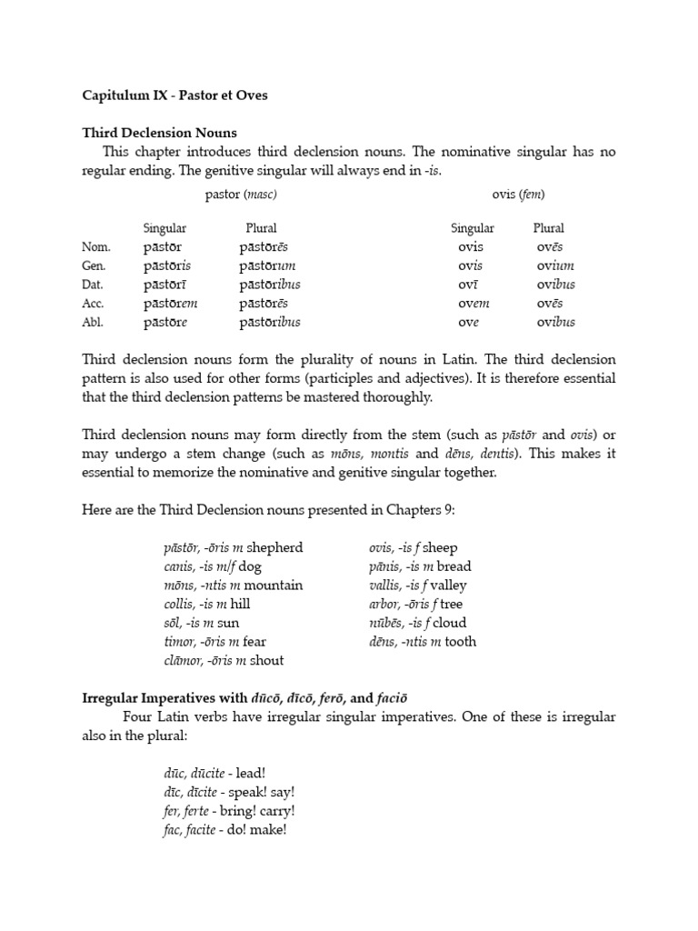 Latin Third Declension Guide | PDF | Grammatical Gender | Grammatical ...