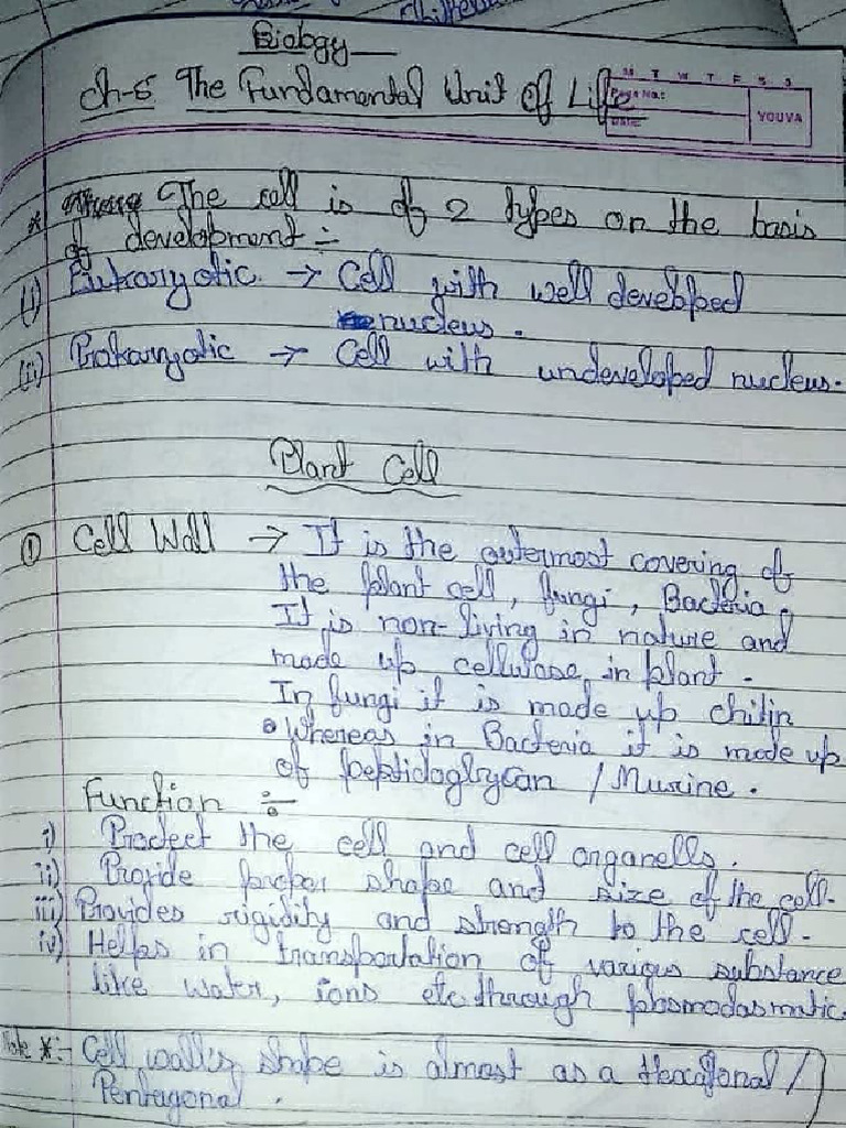 Cell Class 9 Notes | PDF