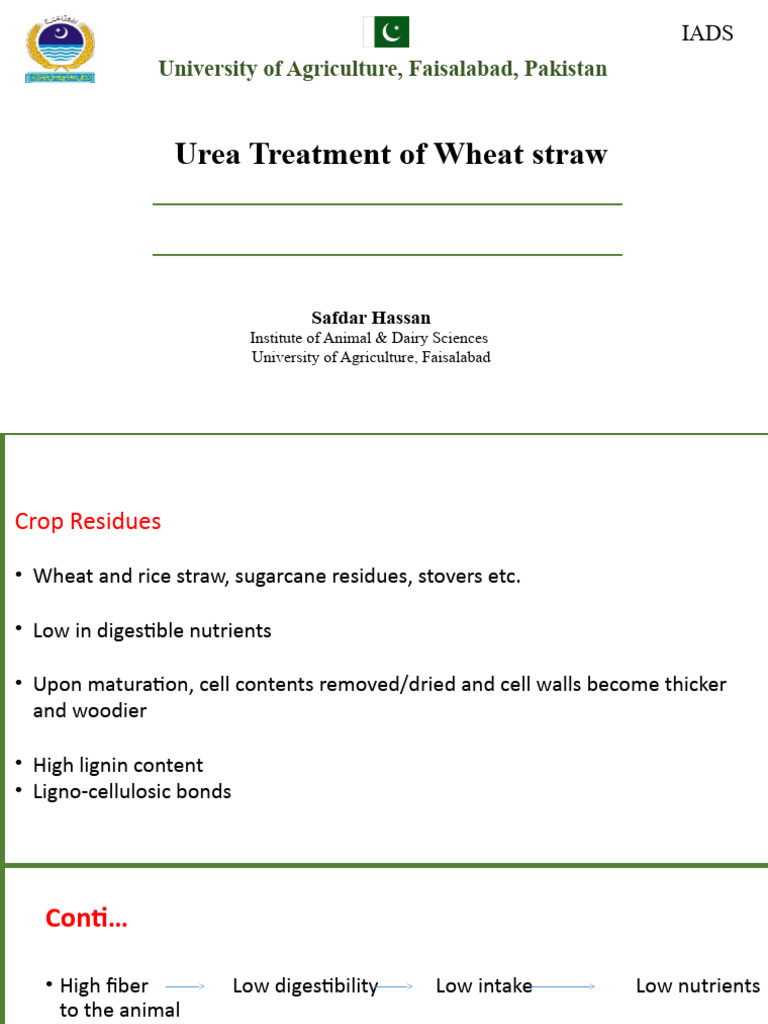 3-Urea Treatment of Wheat Straw | PDF