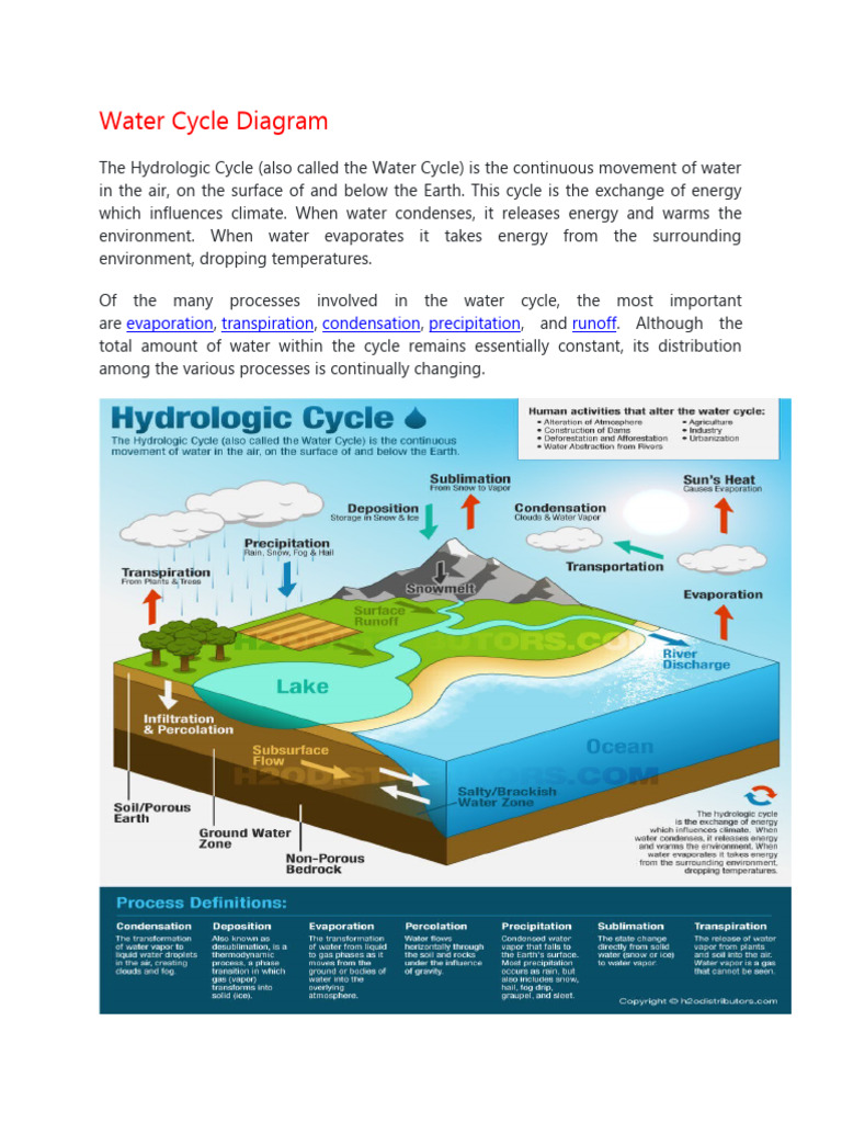 Hydrological Cycle | PDF | Evaporation | Water Vapor