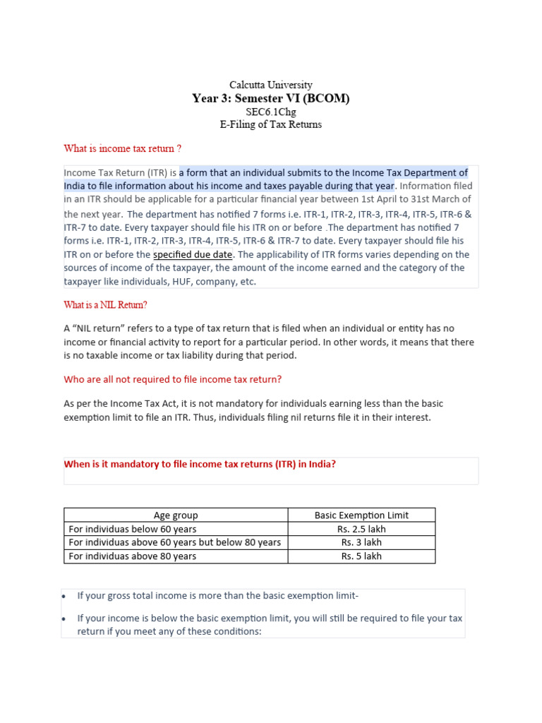 E Filing Project Material | PDF | Government Finances | Personal Finance