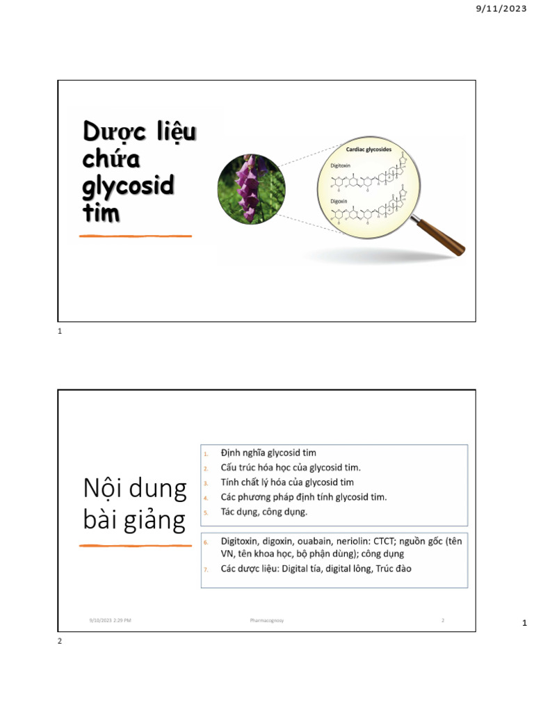 (Handout) Glycosid Tim 2023 | PDF
