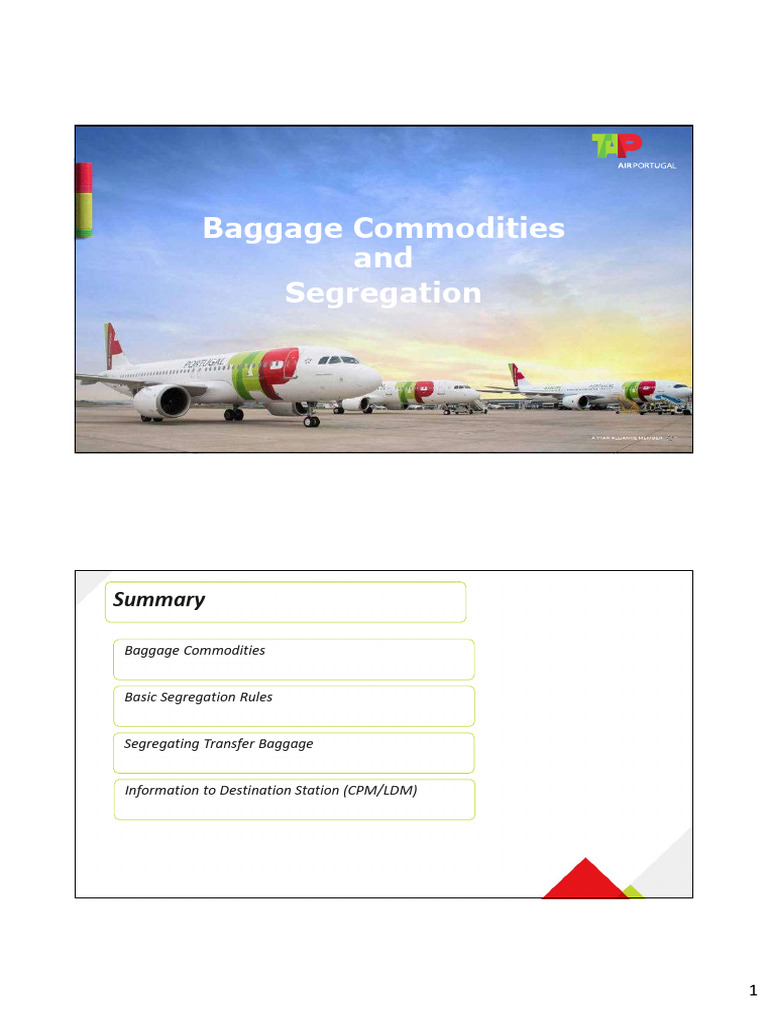 09.1 TAP Baggage Commodities & Segregation en Rev. 03 | PDF