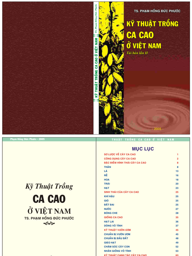 Ky Thuat Trong Ca Cao o Viet Nam | PDF