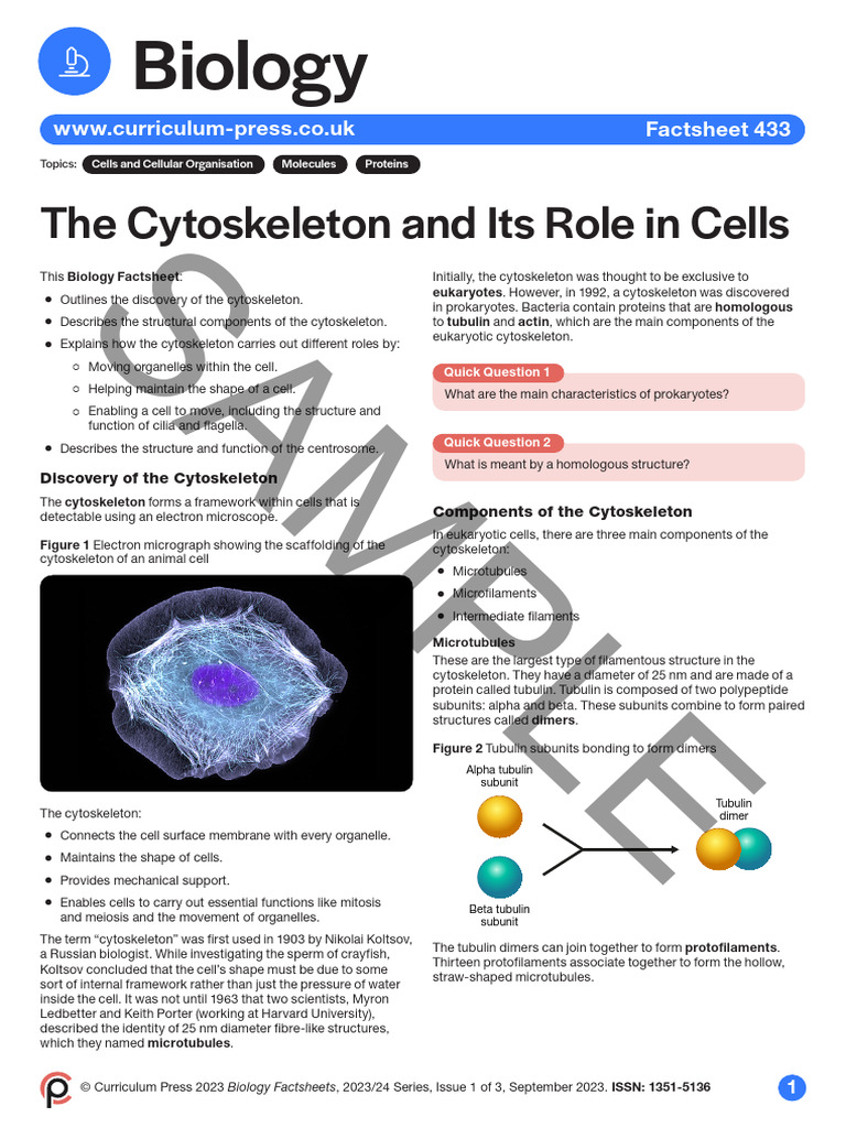 Cytoskeleton | PDF | Cytoskeleton | Microtubule