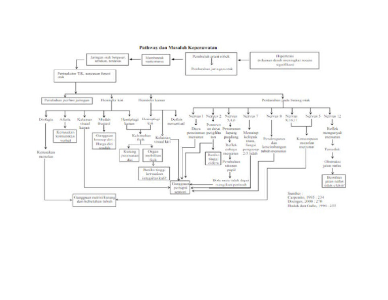 PATHWAY CVA HEMORAGIK | PDF