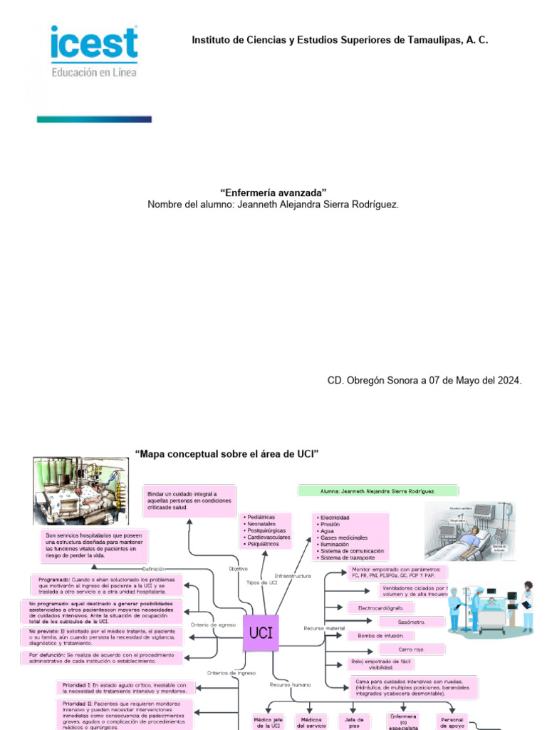Mapa Conceptual Sobre El Área de UCI | PDF