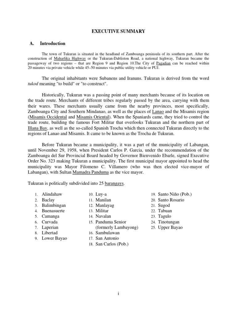 Tukuran Executive Summary 2012 | PDF | Accounting