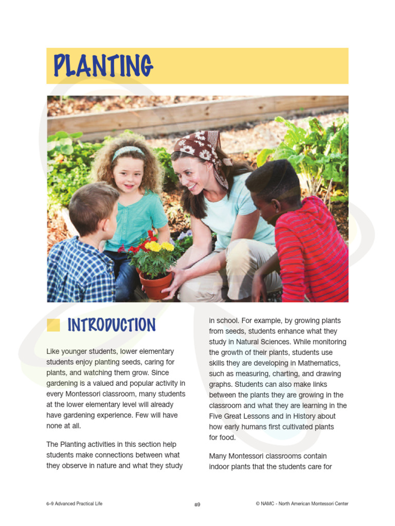 Namc Lower Elementary Advanced Practical Life Sample Pages | PDF ...