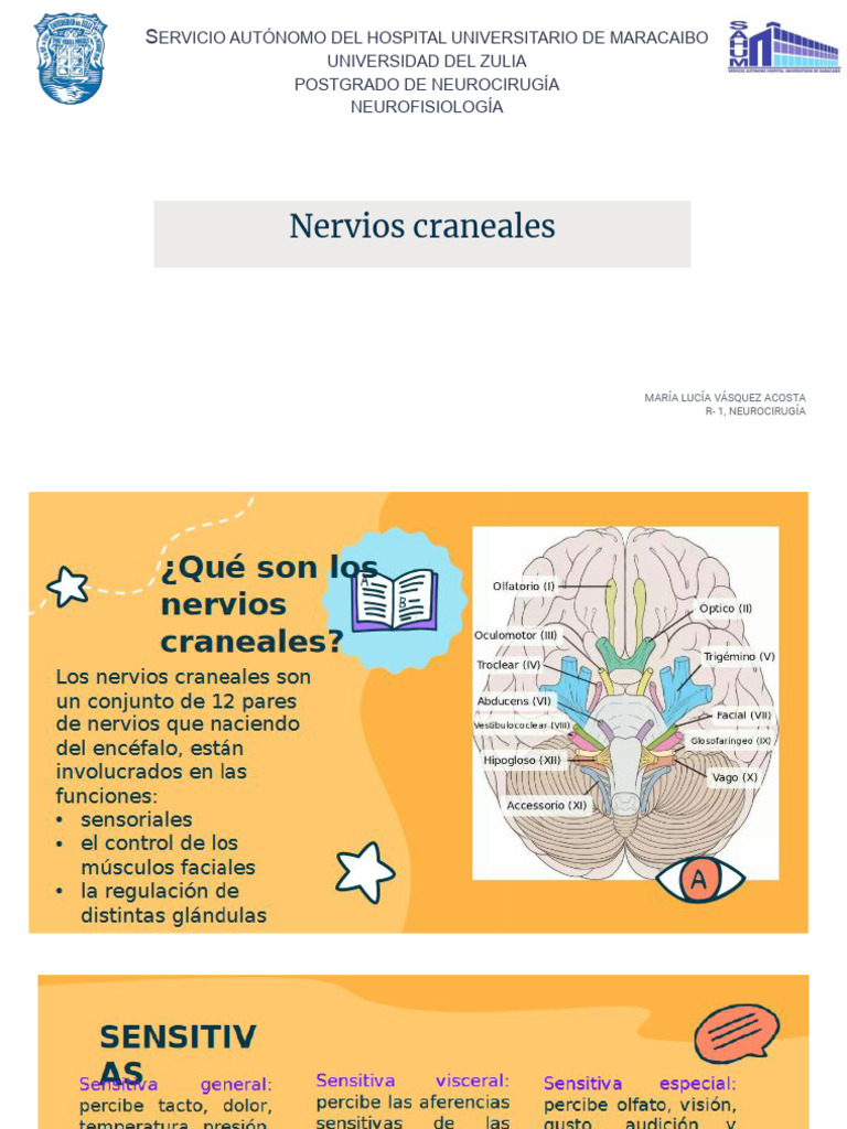 Funciones de los Nervios Craneales | PDF | Nervio | Sistema nervioso