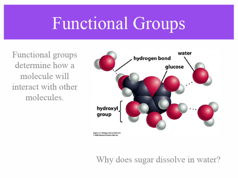 Biological Molecules - Functional Groups | PDF | Self-Improvement