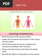 Nervous System Overview for Grade 12 Biology | PDF | Axon | Neuron