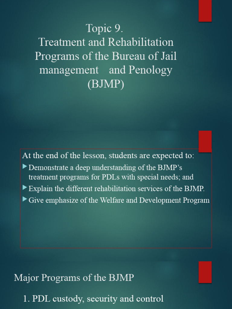 Topic 9.. Treatment and Rehabilitation Programs of the Different ...