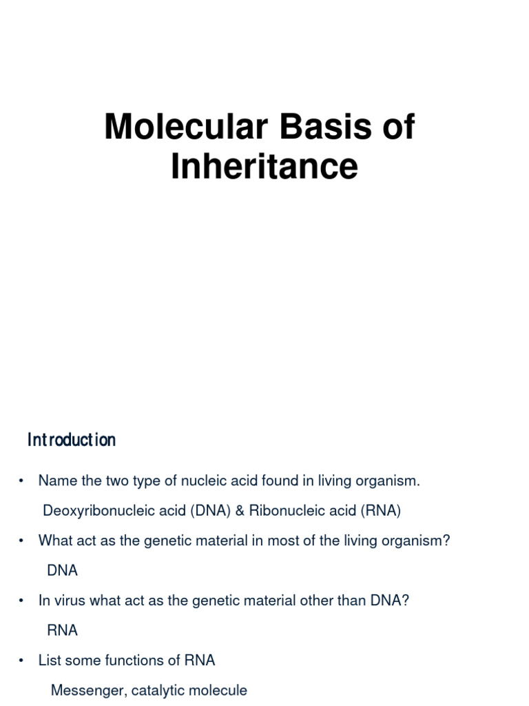 Biology Inheritance Dna and Rrna | PDF | Operon | Rna