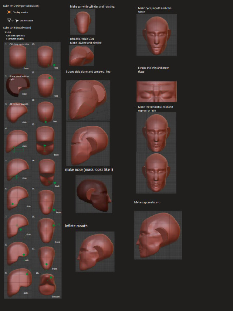 Head Starter Mesh | PDF