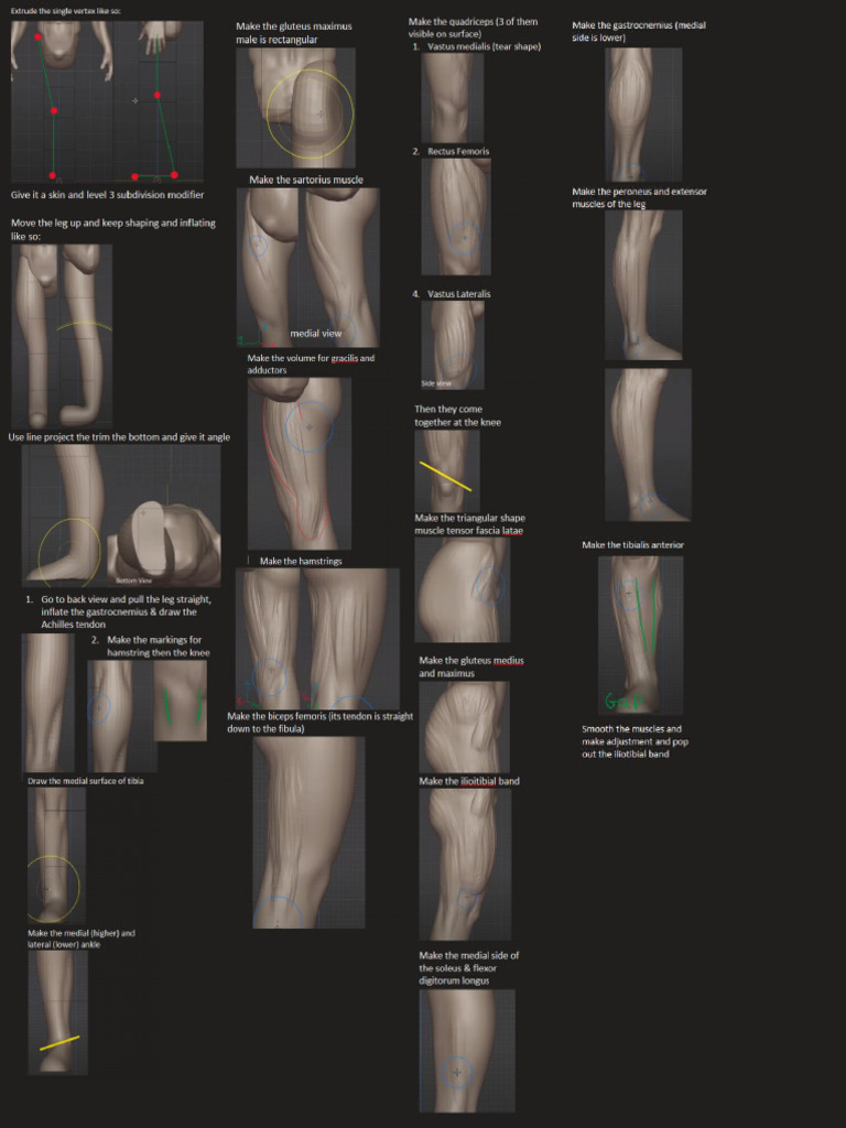 Sculpting Legs | PDF