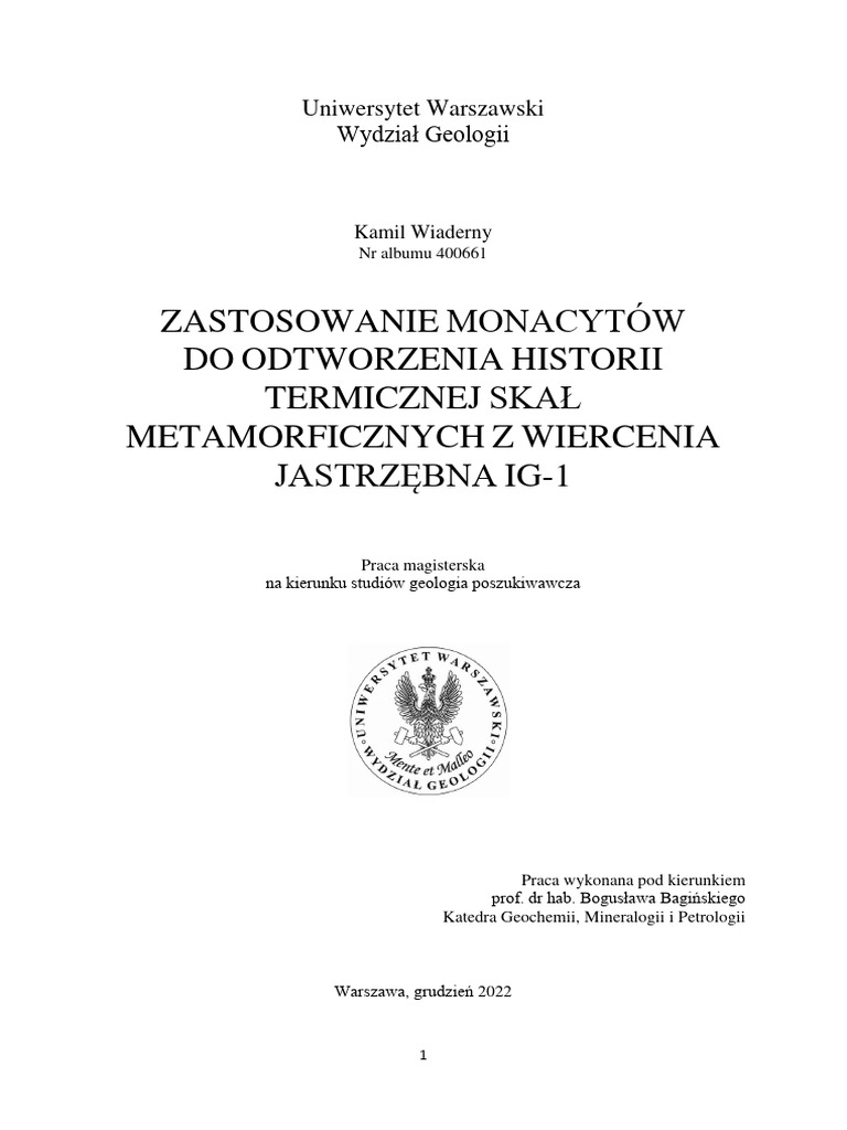 Wiaderny - Praca Magisterska-2 | PDF